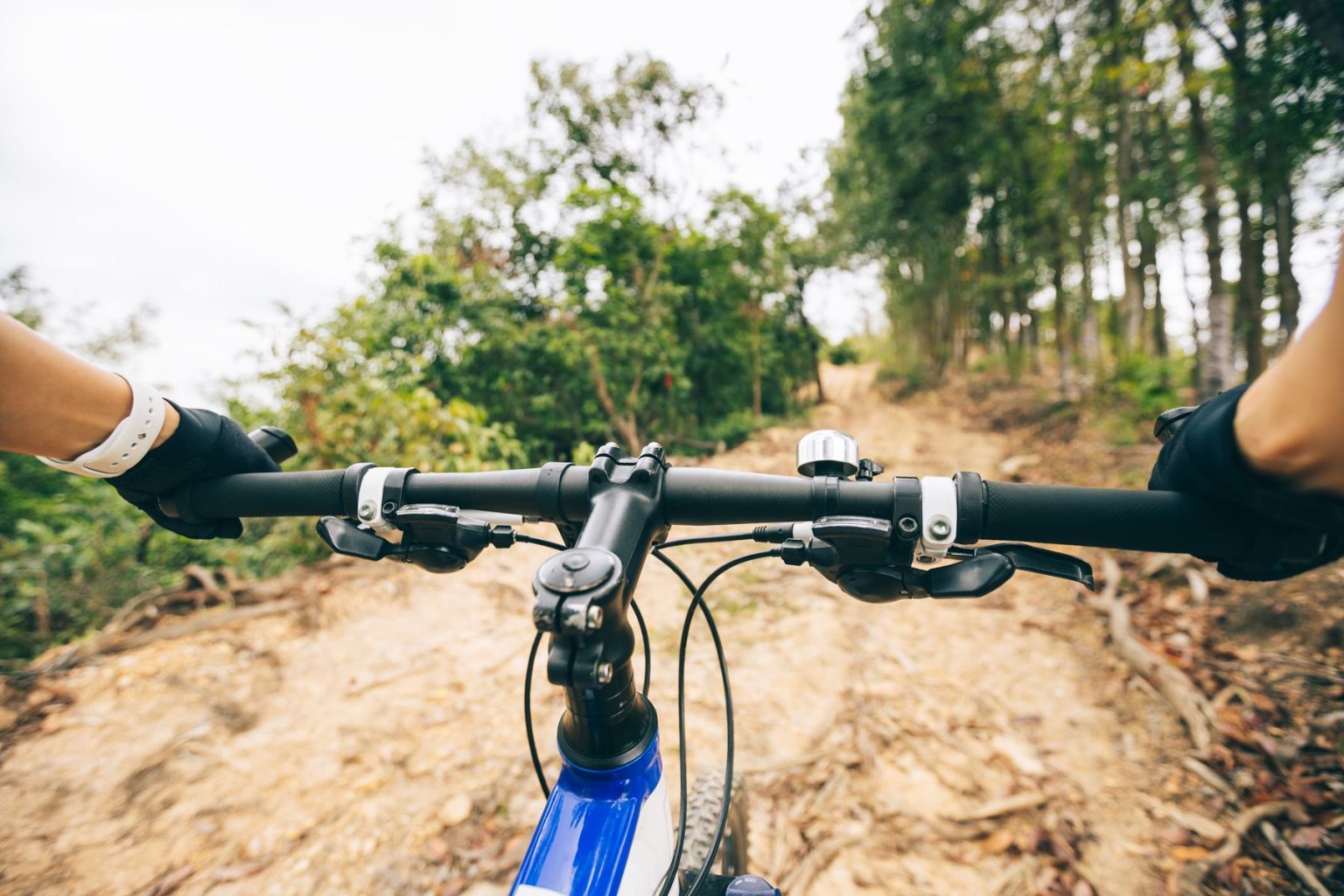 Cómo elegir el manillar ideal para ciclismo gravel